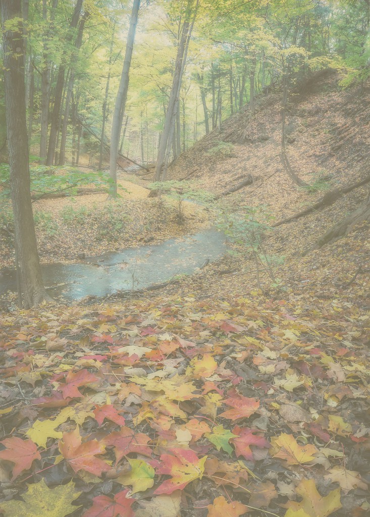 DAKboard OS Touchscreen Support Available! – DAKboard